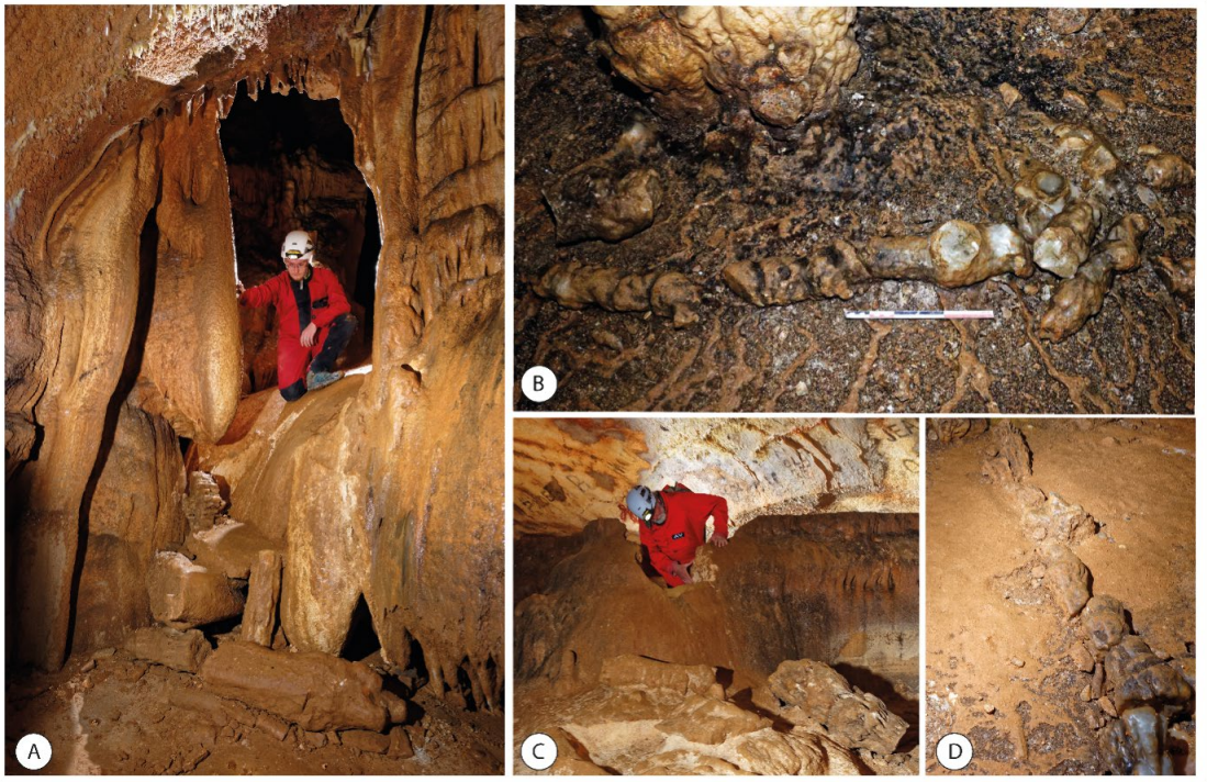 Investigating Human Activities in Caves Through the Study of Broken ...